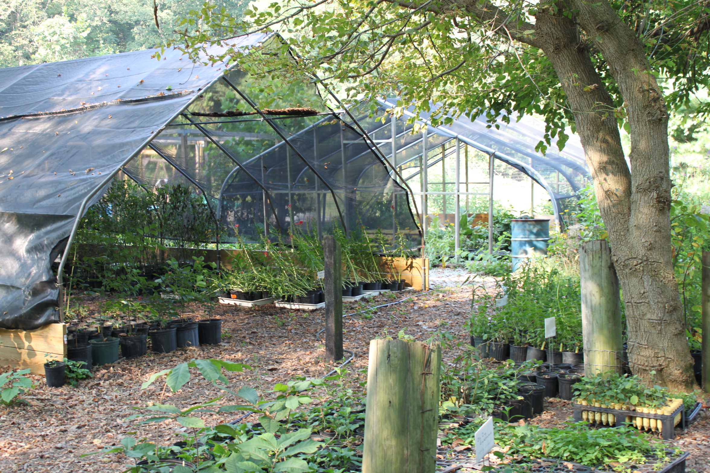 Shade House - Keystone Flora