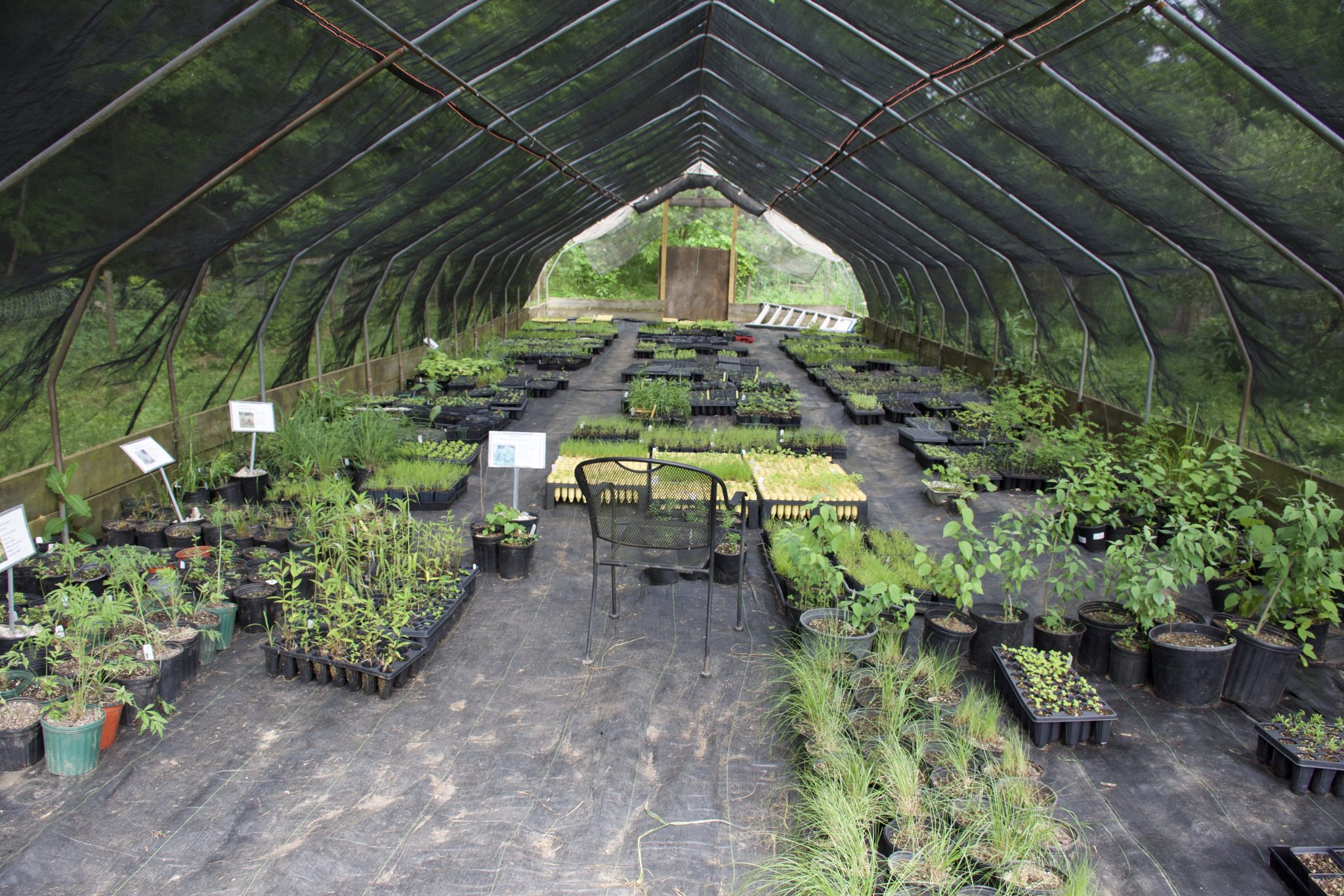 Home - Keystone Flora