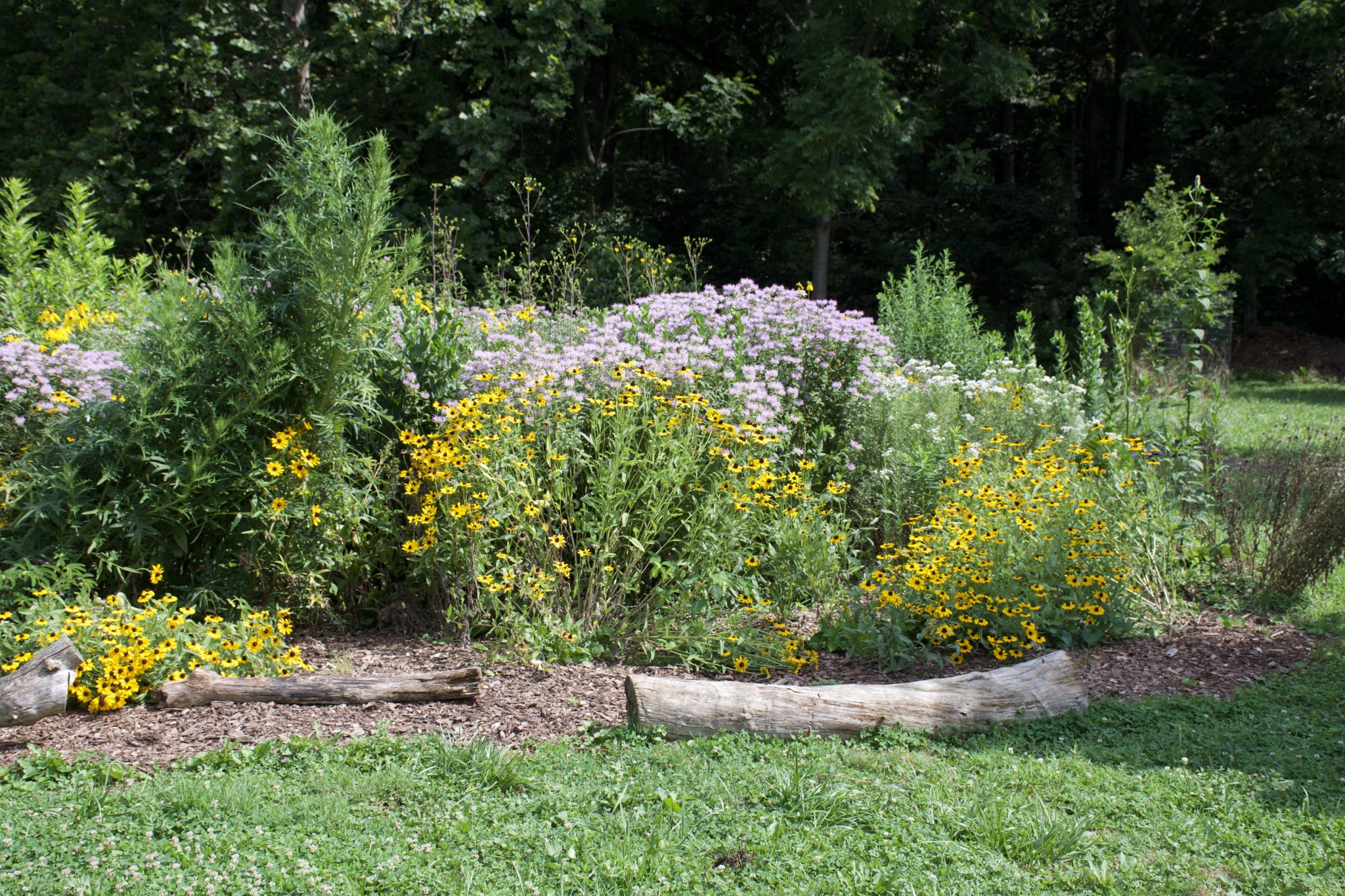 Home - Keystone Flora