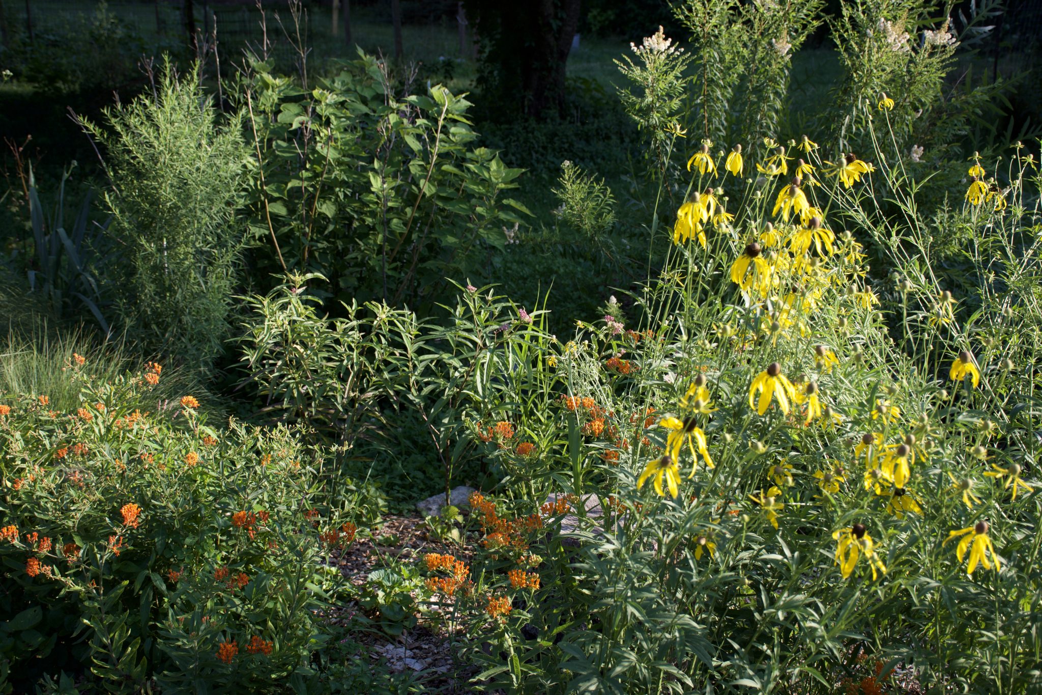 Home - Keystone Flora